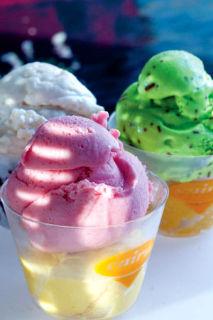 Flavors of Brazil: On The Road - Belém (Pt. 8) - Tropical Ice Cream ...