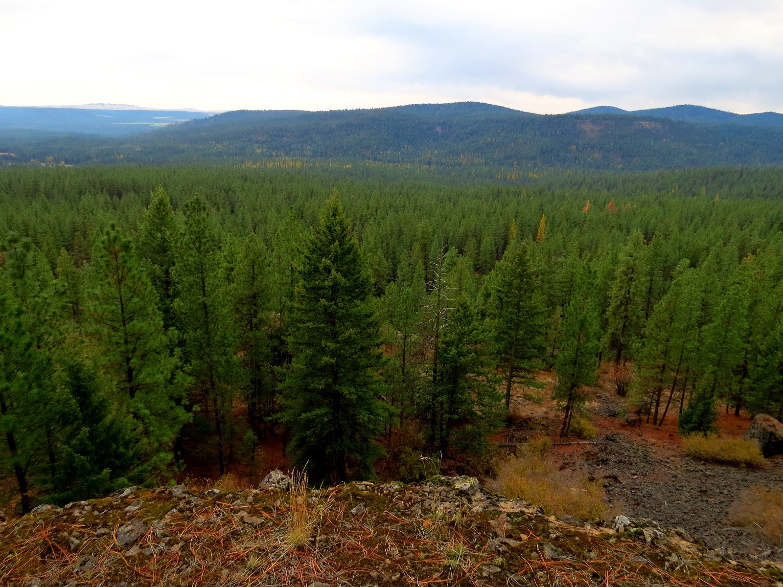 s u l u s t u: The Spokane Reservation