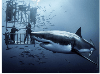 예스카지노 【https://custory.com/yes/】YES카지노 오바마카지노 33카지노