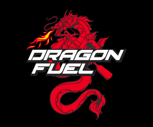 Dragon Fuel: About Our Team