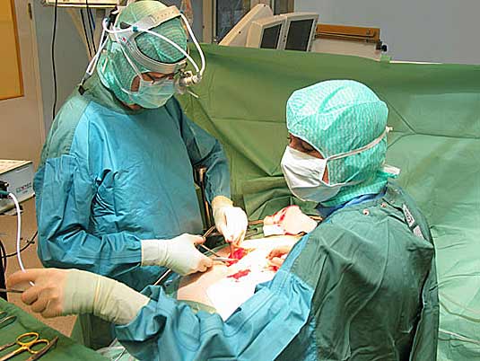 Mitt söta lilla hus på Knipesgård: Uppdrag operation...