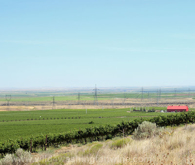 Véraison Vineyard Tour Alexandria Nicole Cellars Destiny Ridge Vineyard
