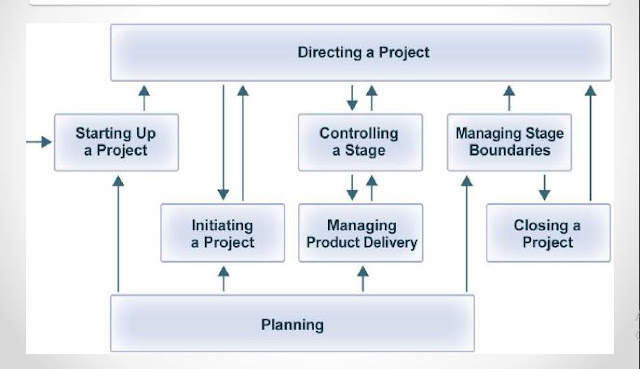 Project Management: Principles and Process