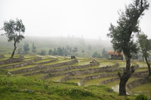 Welcome to My_Blog: "Folk Story From OSSU....."