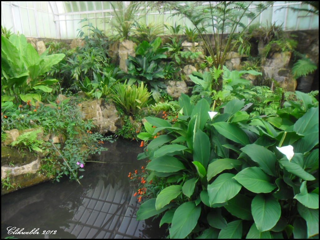 Mundo das Plantas : Jardim Botânico de São Paulo, Botanical Garden of ...
