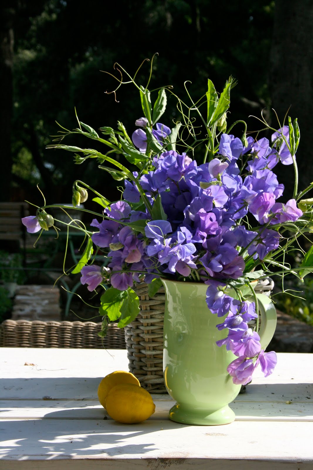 The Polished Pebble: Sweet Pea Trellis