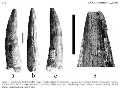 Species New to Science: April 2012