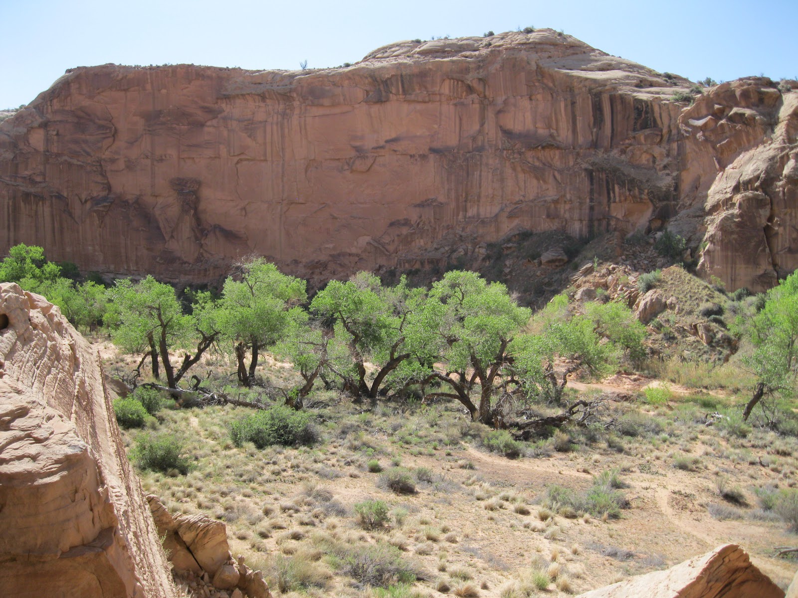Four Corners Hikes-Canyonlands: Horseshoe Canyon Trail-High Gallery and ...