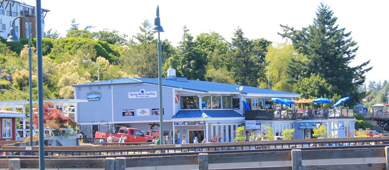 LV's Little Corner: Camping Fun - Day 3 - Friday Harbor