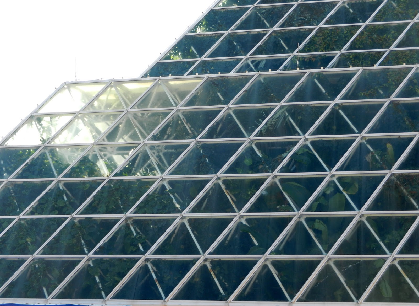 Squirrel's View: Biosphere 2