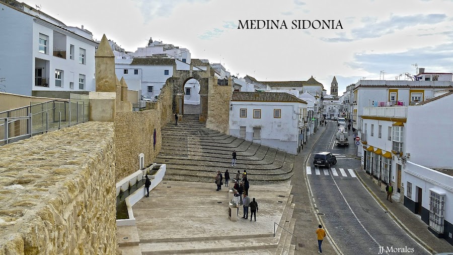 PajarrArcos: Medina Sidonia