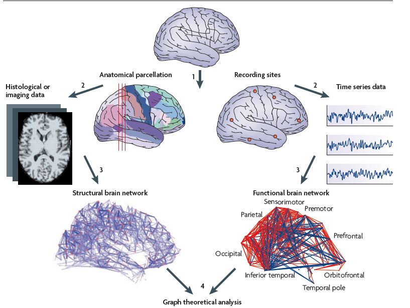 Six Degrees - CNT 2013 at CSE, IITKgp: Complex brain networks