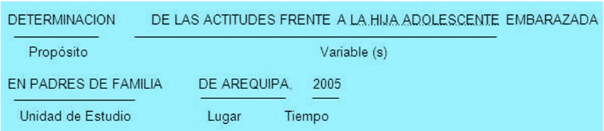 COMO REDACTAR EL TITULO DE LA TESIS Y NO MORIR EN EL INTENTO ~ Mi Tesis ...
