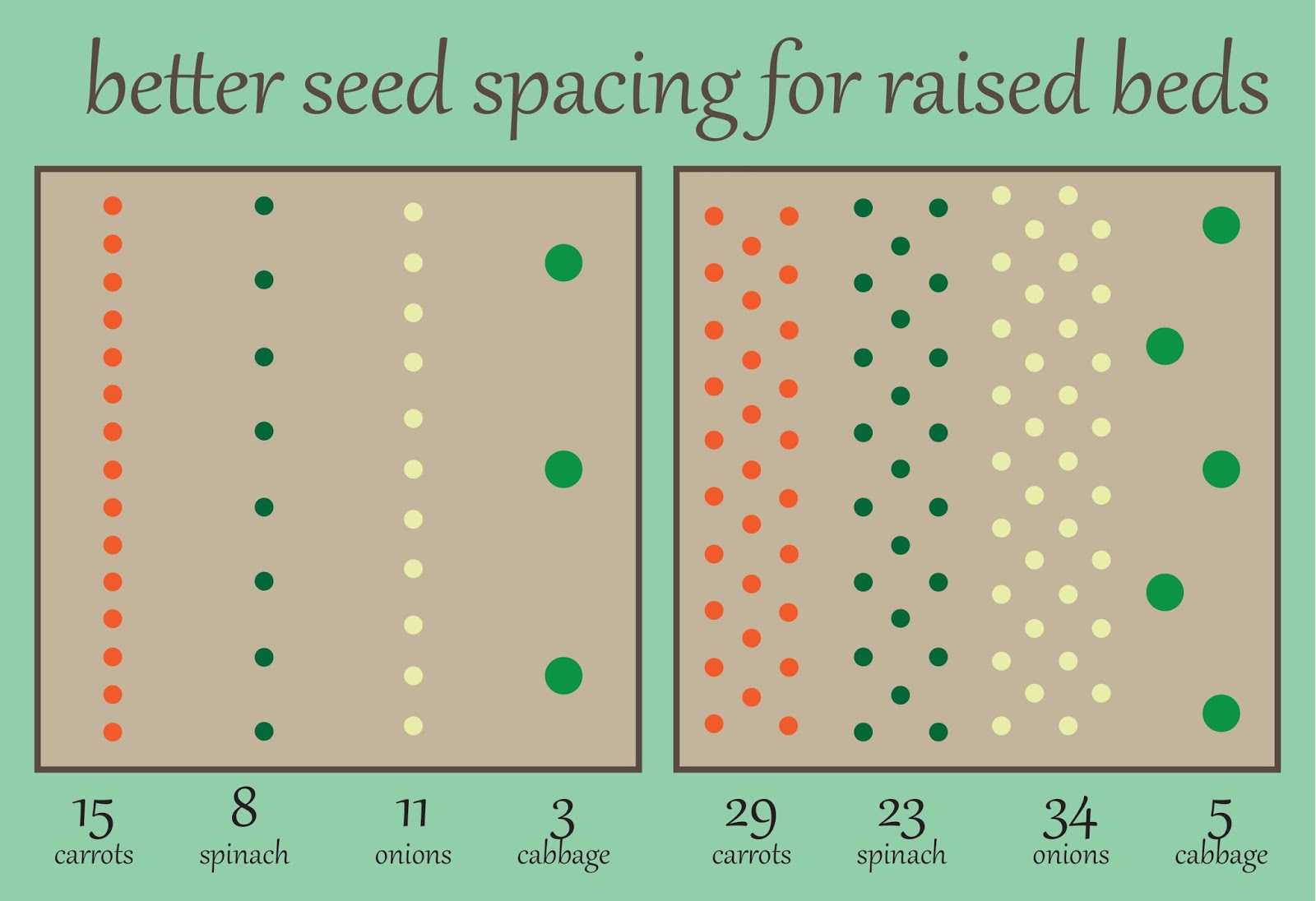 Vegetable Garden Row Spacing Chart