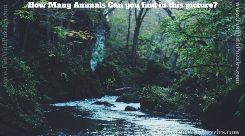 Diverse Brain Teasers: Visual, Math, Logic Challenges