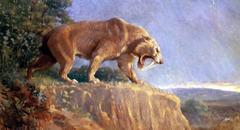 The Presurfer: 10 Terrifying Animals That Lived Alongside Prehistoric Man