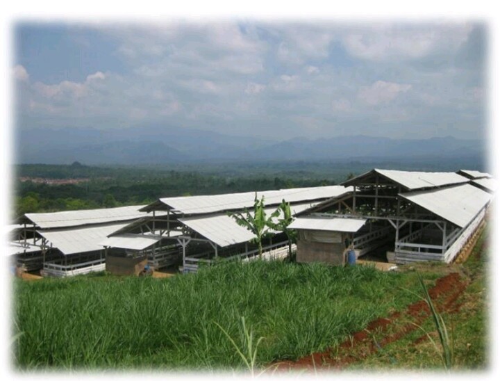 Zona SUBANG: Potensi SUBANG