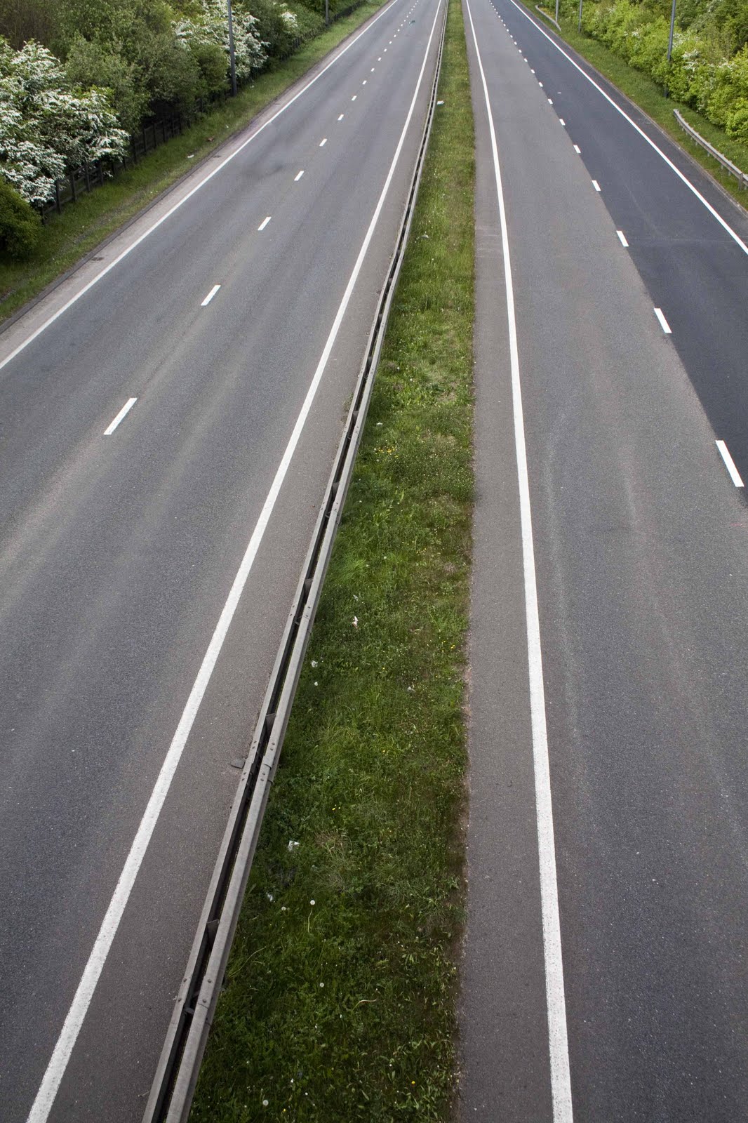 The Art of Photography: Horizontal and Vertical lines