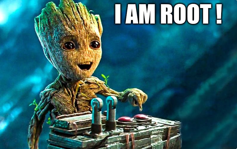 Return to libc on modern 32 bit and 64 bit Linux