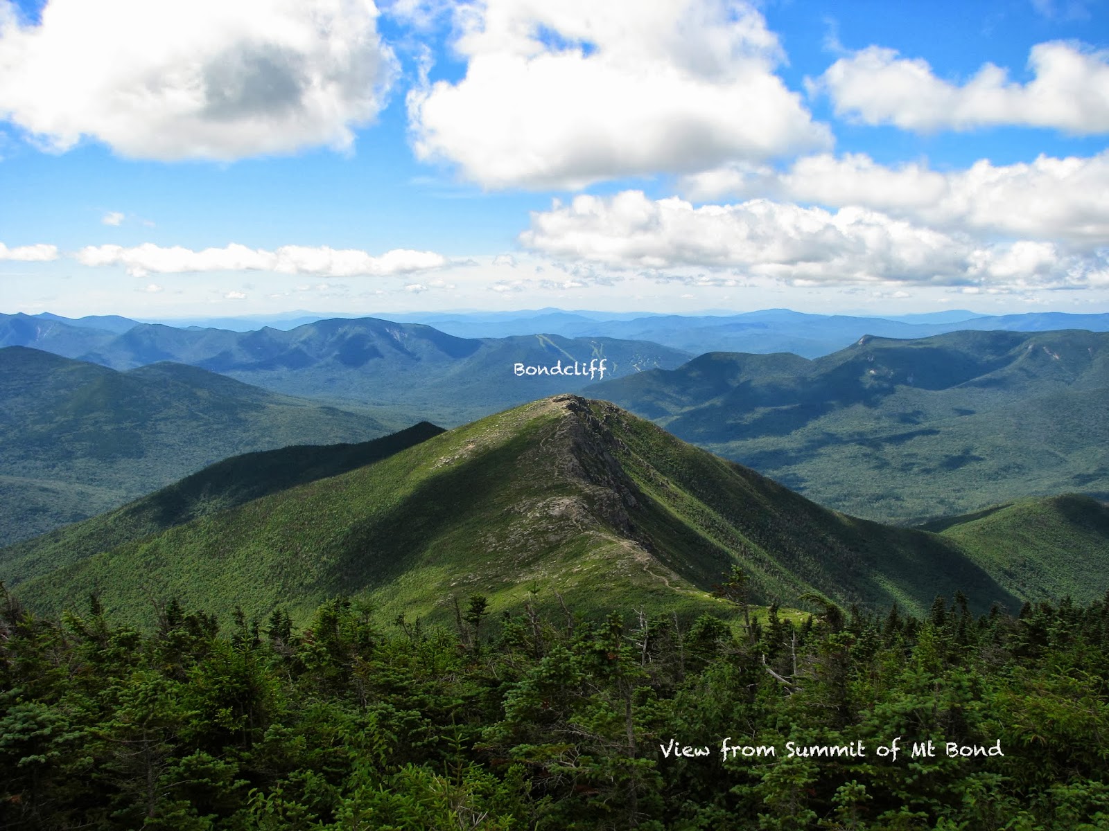 Brock Steel ~ Photography