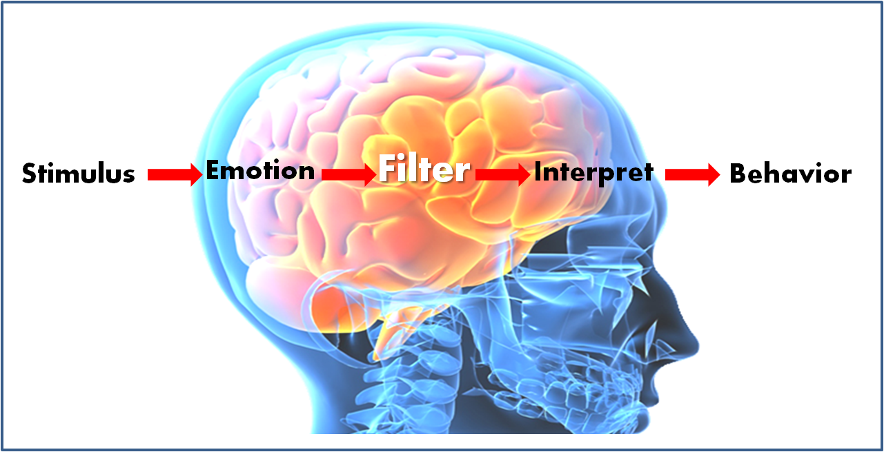 What Lis Thinks: Brain Filters