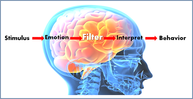 What Lis Thinks: Brain Filters