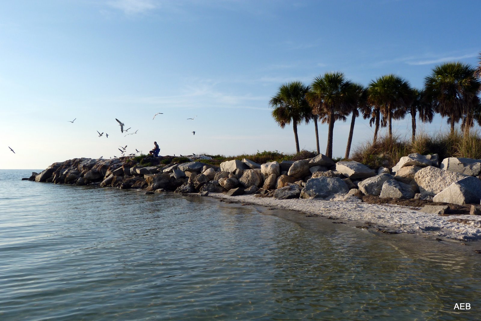 Where ever I go...: Fred Howard Park, FL