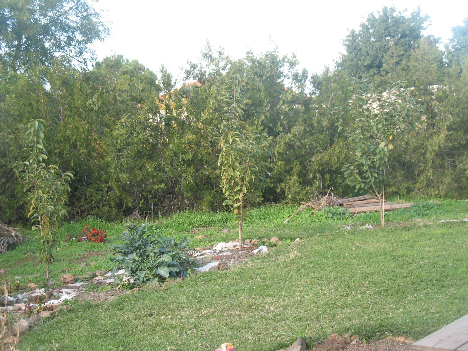 Pray For Lilly: World Traveler Lilly