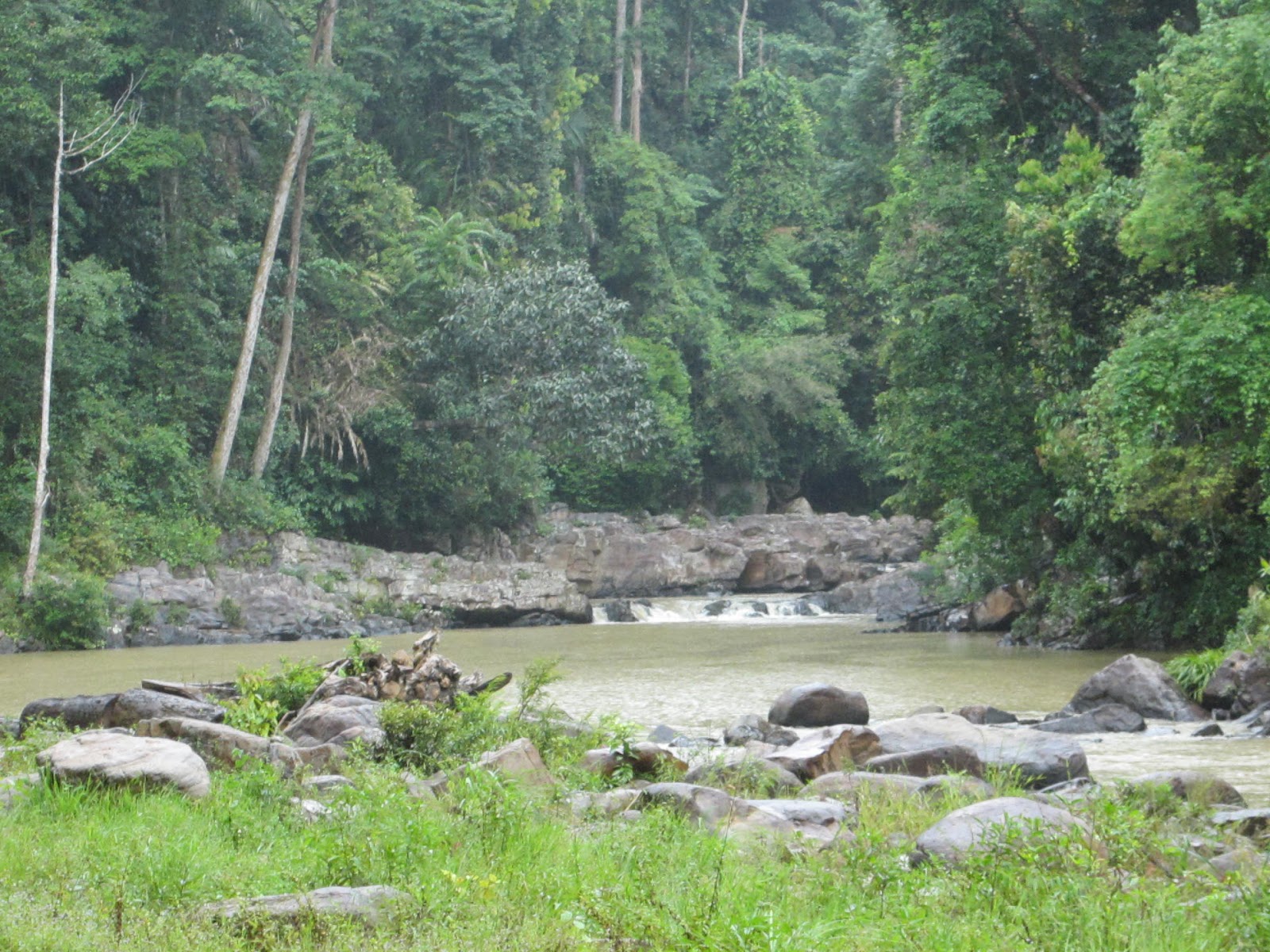 ujang kutik: LUBUK YU : saya sampai ke lokasi tragedi