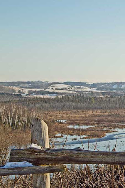 East Gwillimbury CameraGirl: Windy Ridge/ Our World