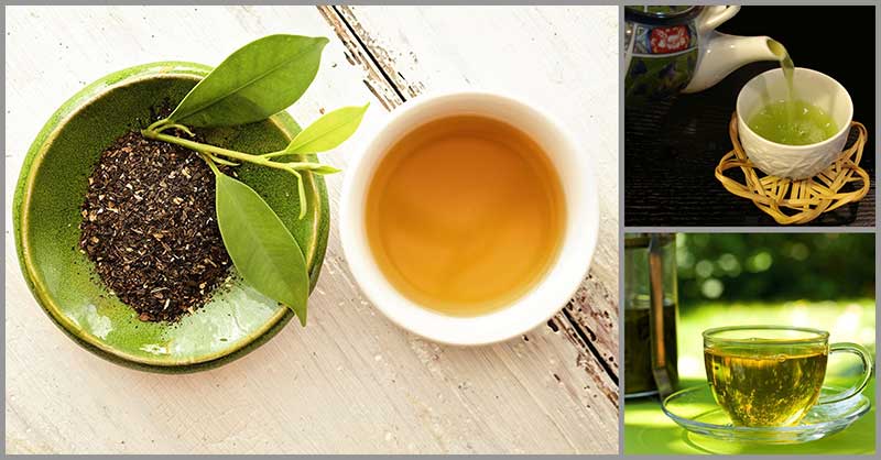 Green Tea and Prostate Cancer | Dr Farrah MD