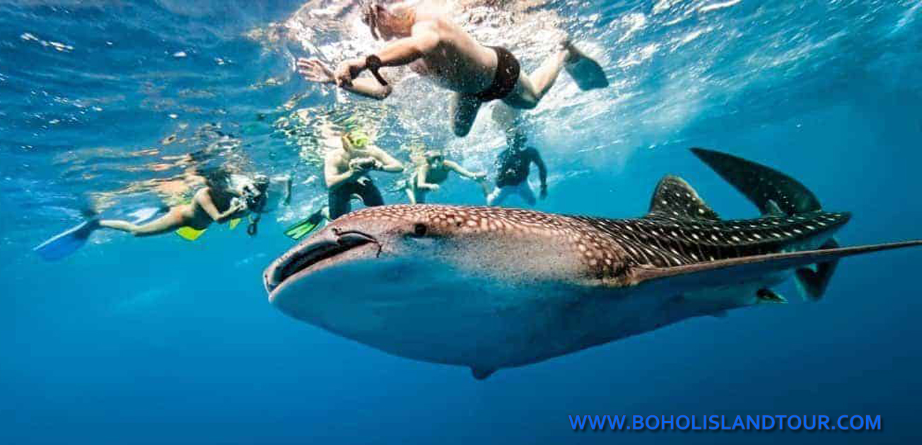 Bohol Island Tour - WoW Bohol Package Tours and Travel Services