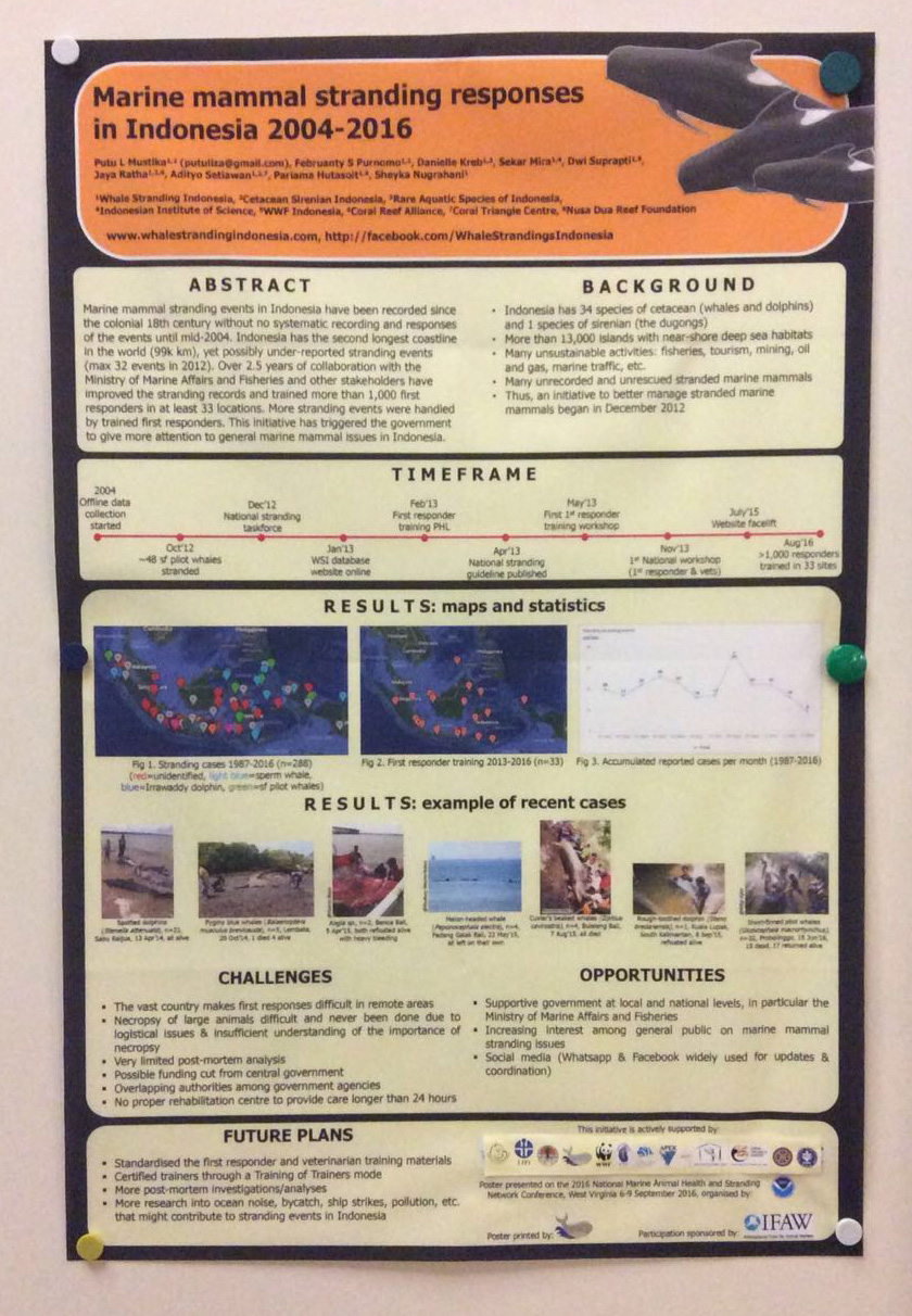 Putu Liza's a whale of a tale: The US National Marine Animal Health and ...