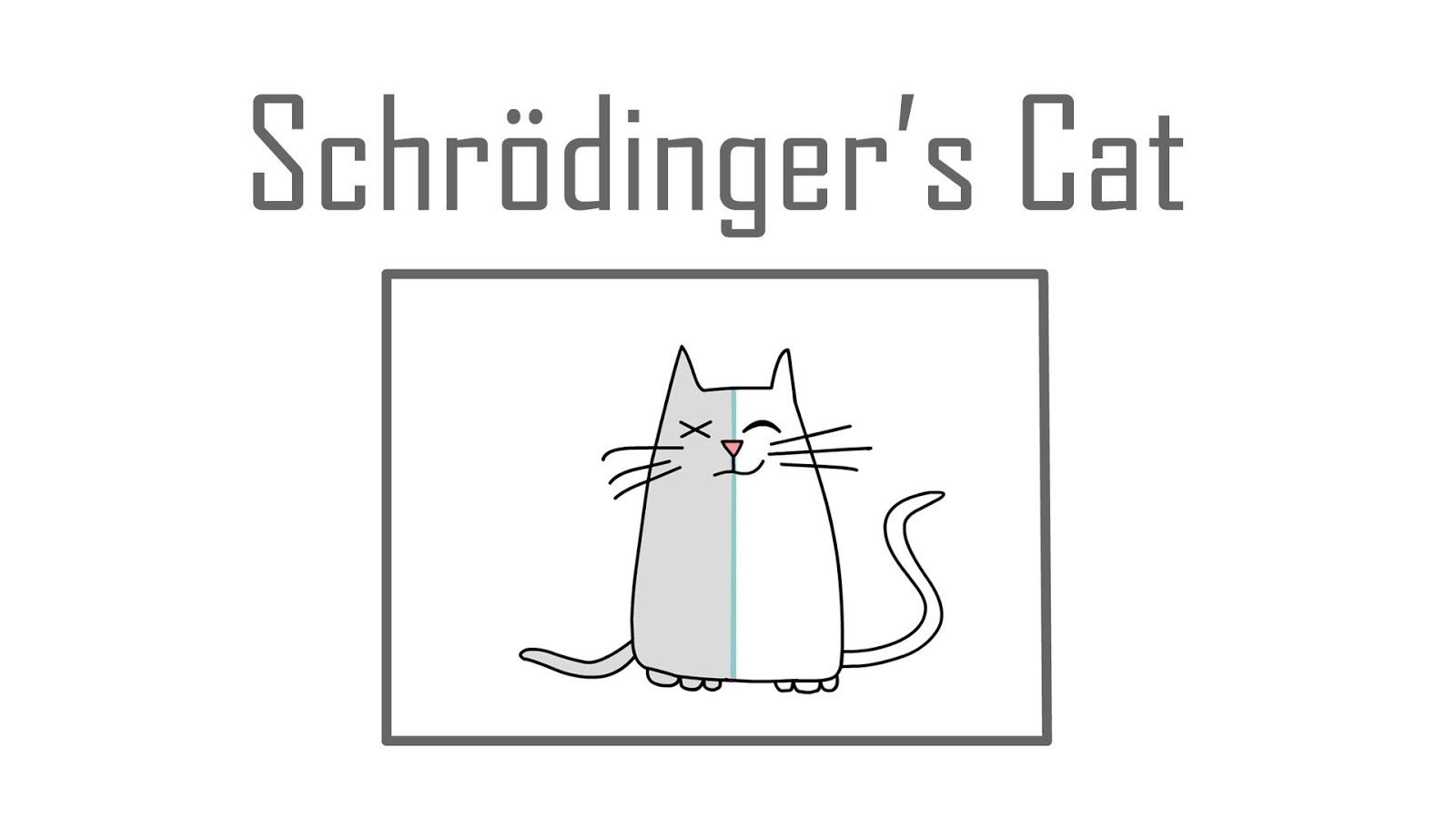 Quantum Mechanics and Probability; #2 Schrodinger's Cat
