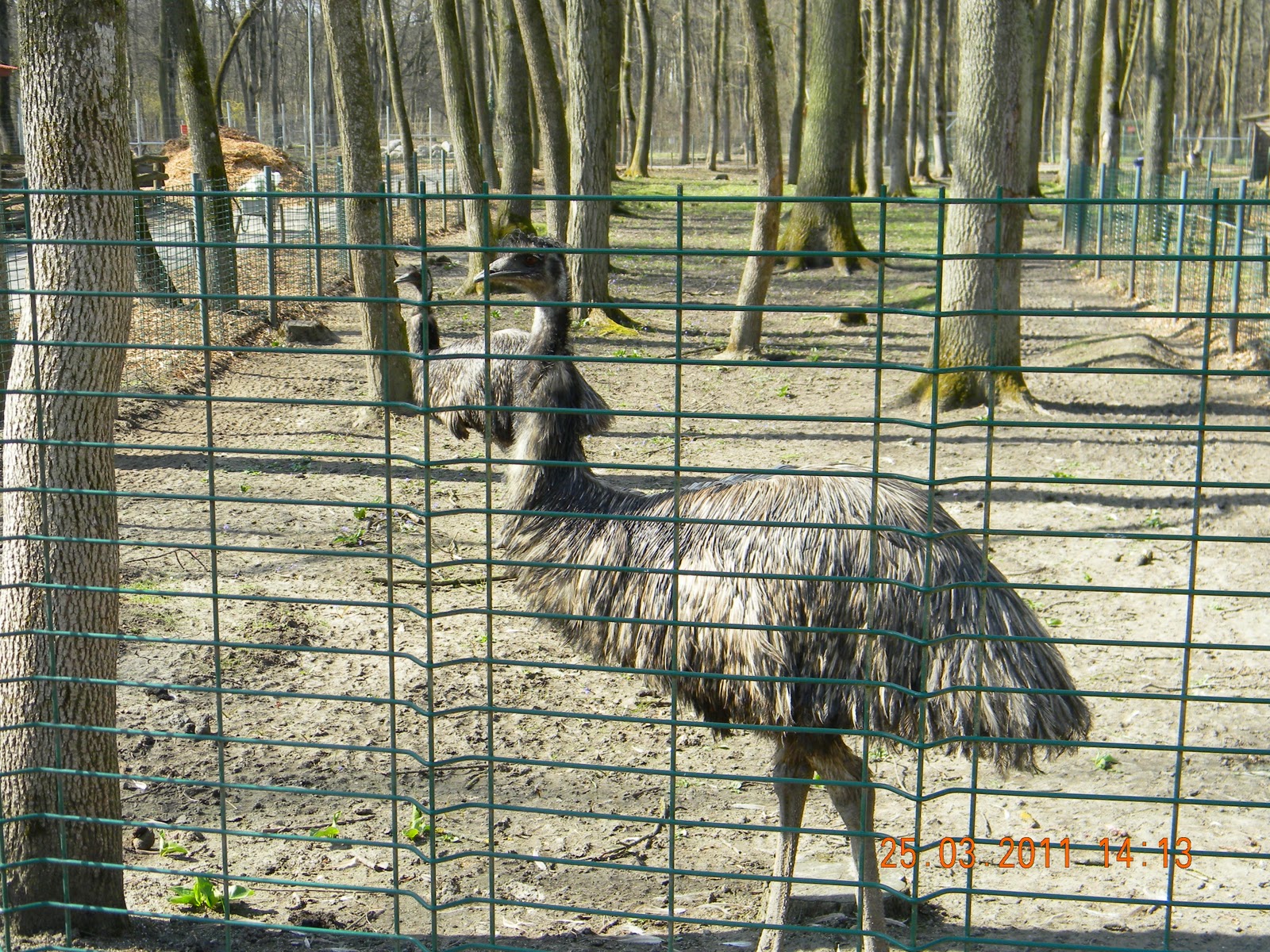 Trip-ideas: Gradina Zoologica din Timisoara