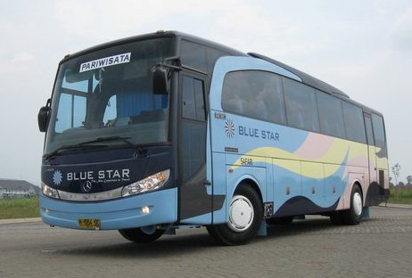 Tempat Anda Mencari Bis Pariwisata: Blue Star