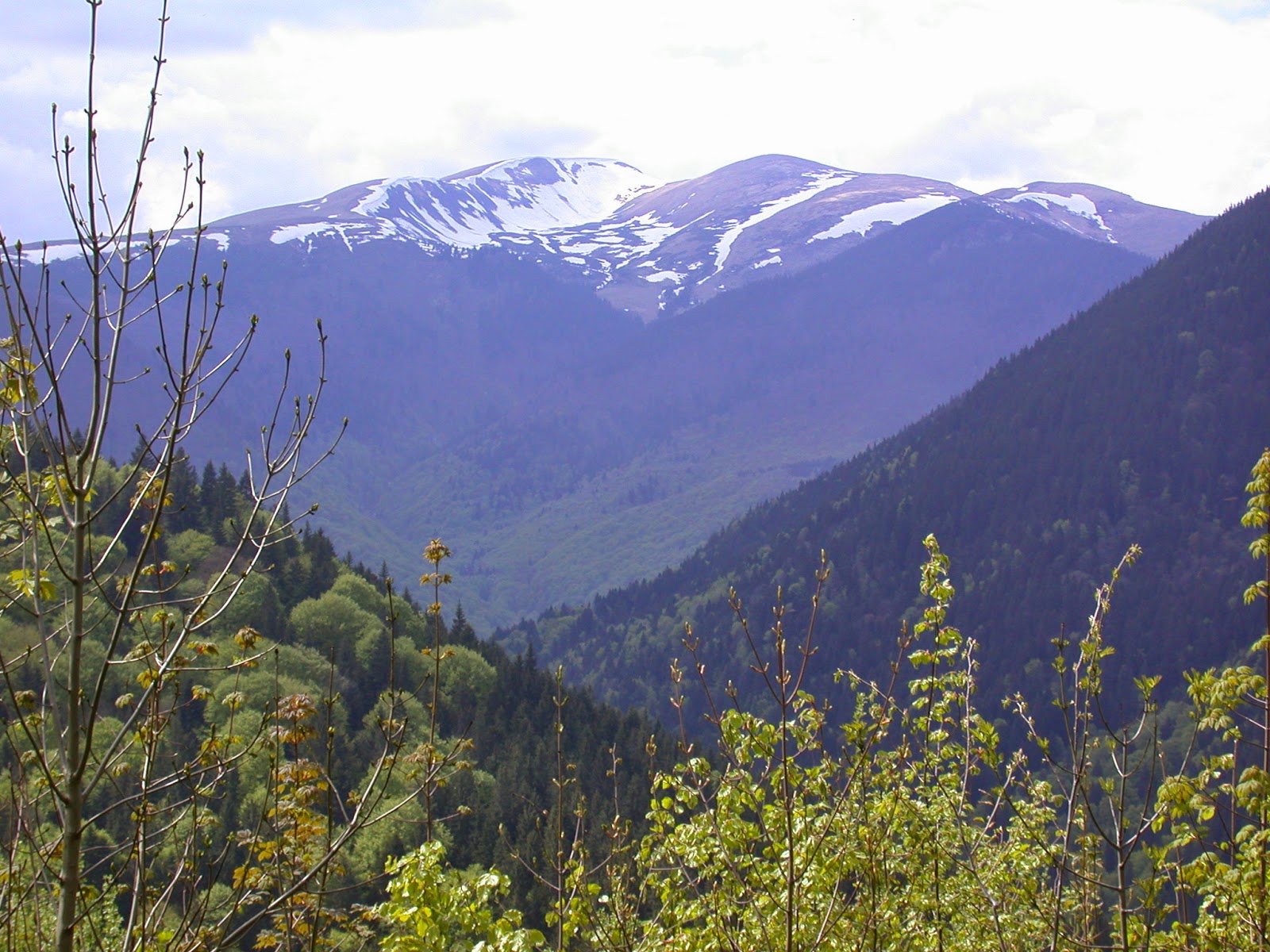 Dziedzictwo UNESCO: Pierwotne lasy bukowe Karpat i innych regionów Europy