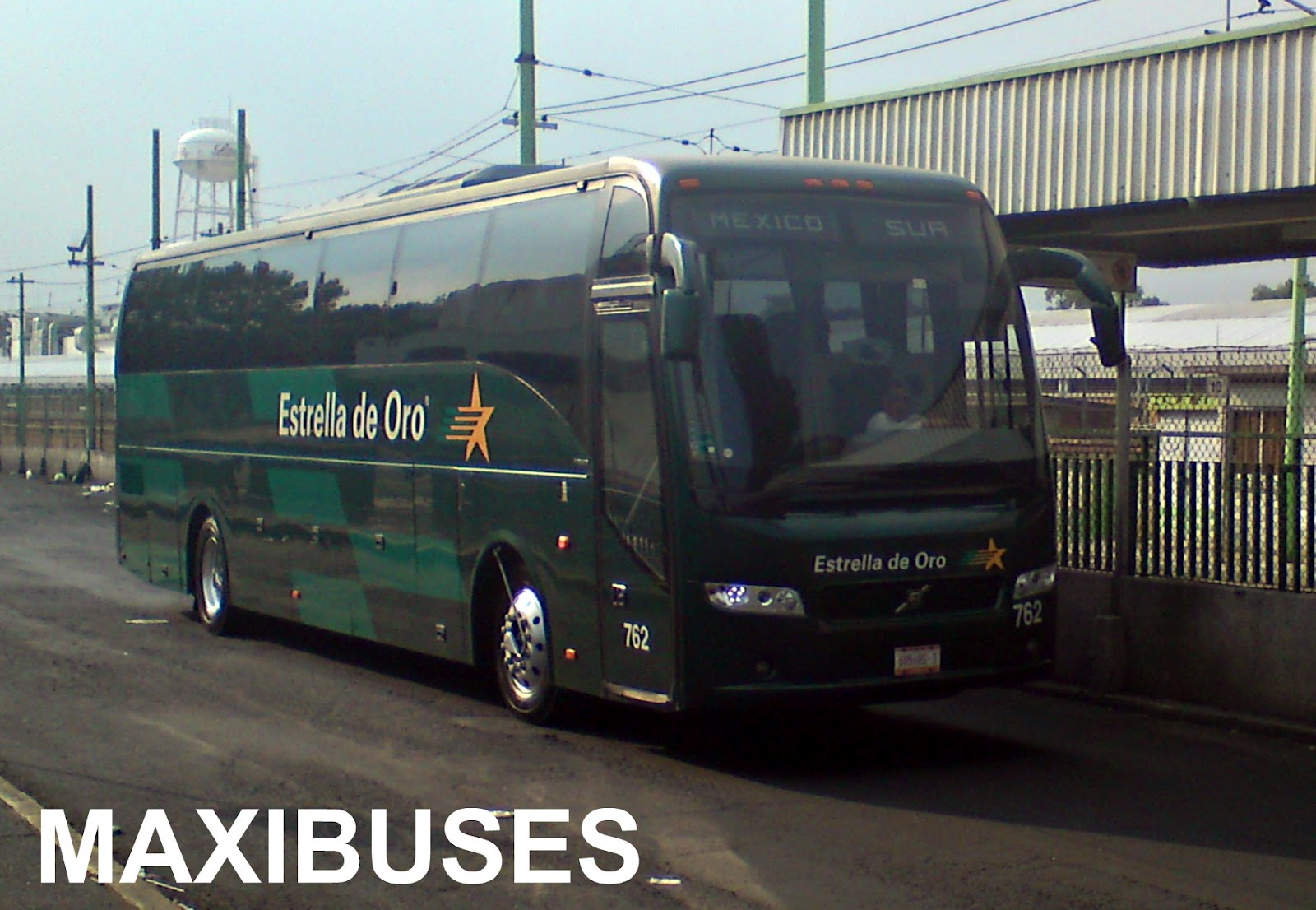 MAXIBUSES: ESTRELLA DE ORO PLUSS