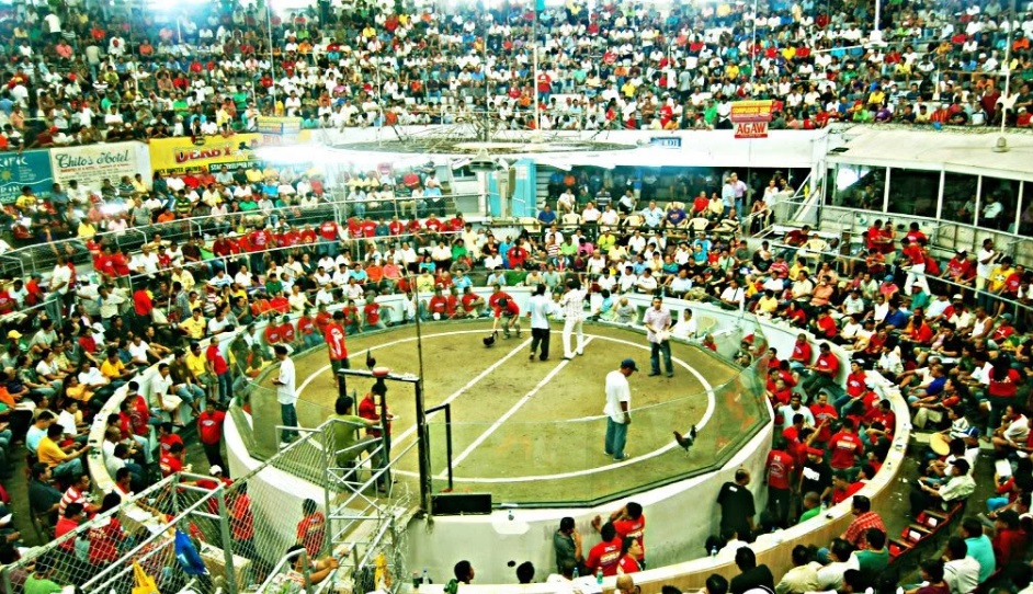 World Pitmaster Cup 2017 Part 2 | SABONG PINOY