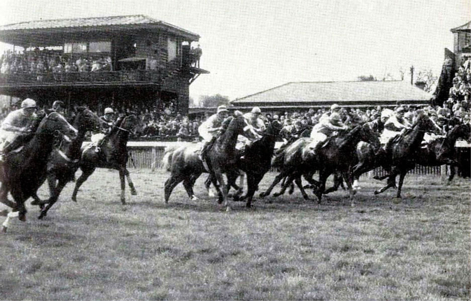 The Apprentice Jockey: Dear Old Ally Pally