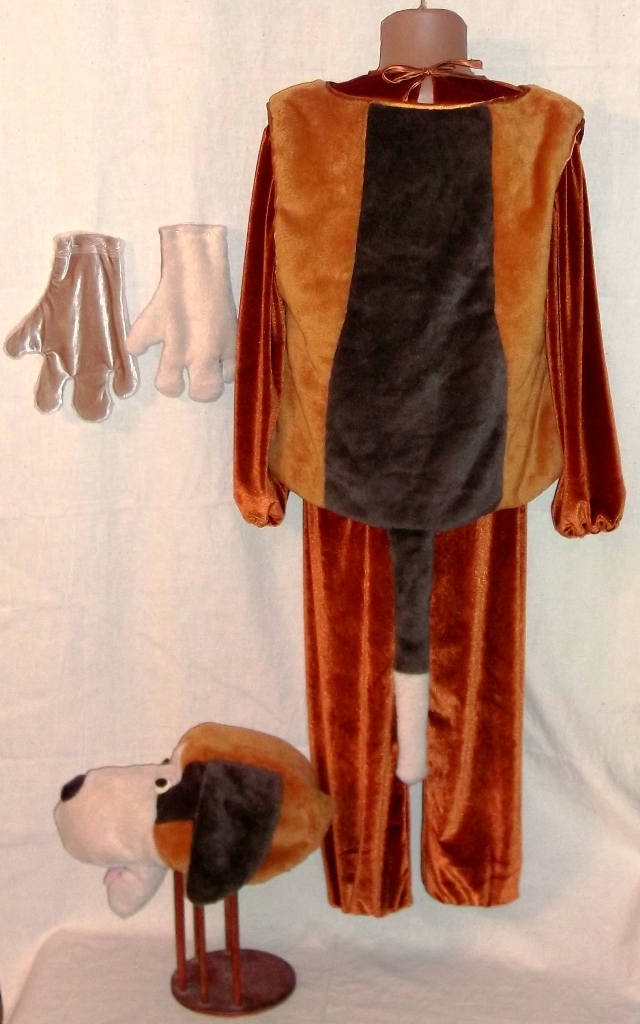 COSTUME MICHI MANOLE: Costume de animale: zebra, bufnita, cocos, catel ...