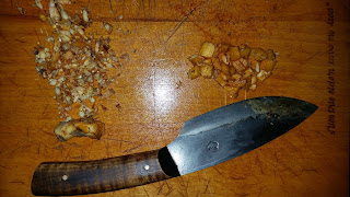 The 7 P's Blog: Wild Medicinal: Squaw Root (Conopholis Americana) - The ...