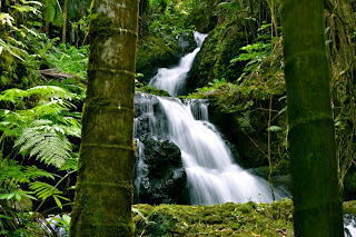 Hawaiian Landscape Photography: The Waterfalls of Hawaii