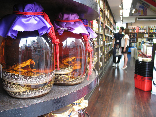 Welcome to Zika Bobby Blog: Japanese Snake Wine: Habu Sake