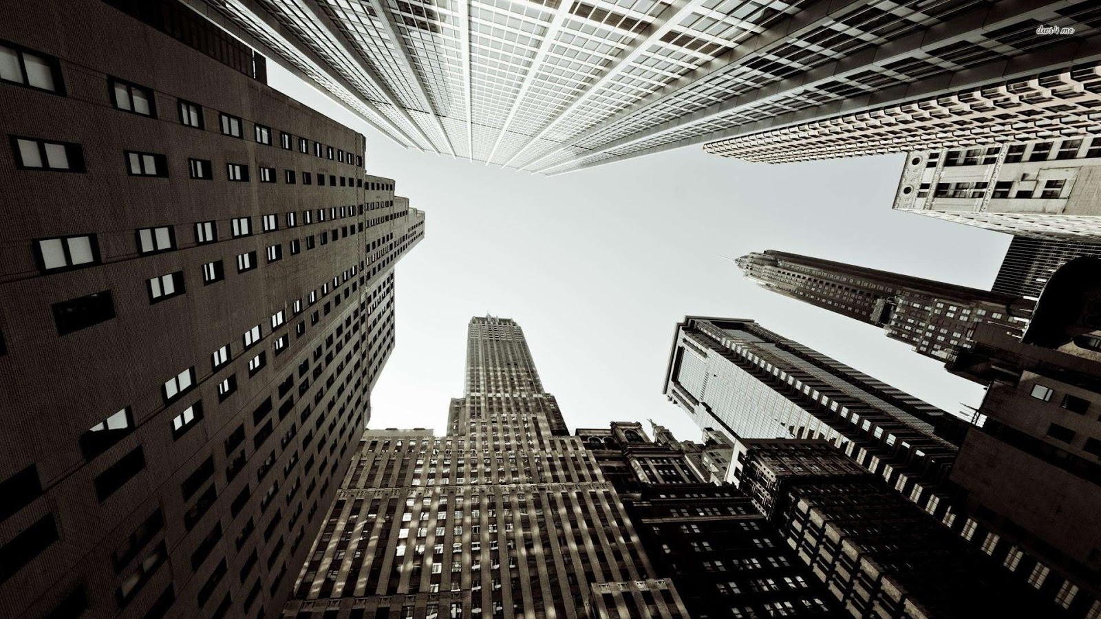 Rocío Del Pero ADV 2016: Fotografía (ángulo normal,cenital, inversa ...