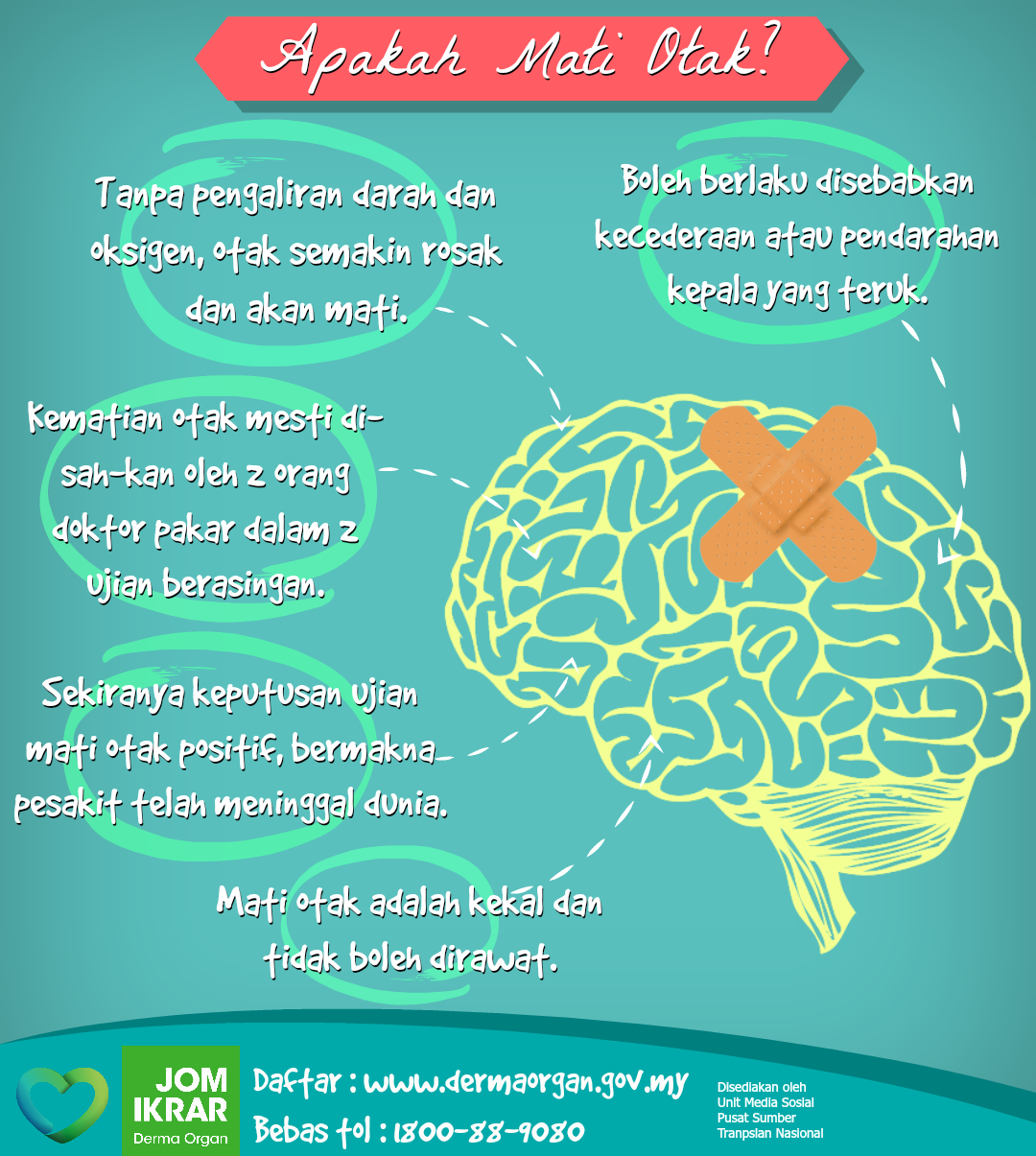 Derma Organ: Mati Otak : Apa dan mengapa?