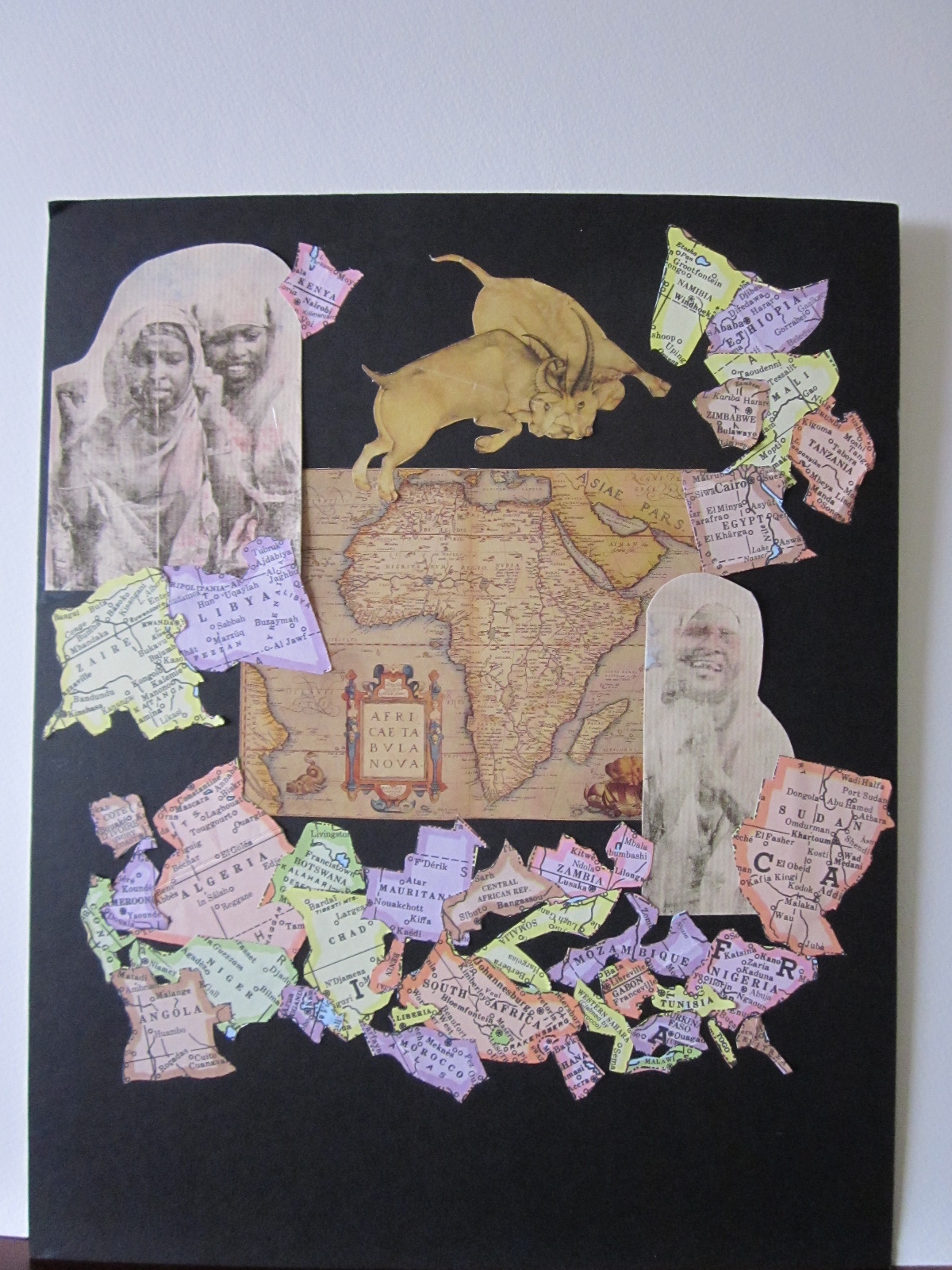 Susan Fidlon Mixed Media Artist: A Political Collage