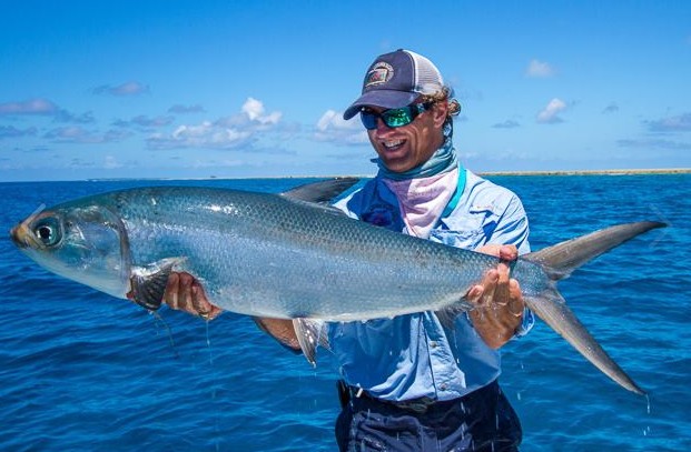 Big Fishes of the World: MILKFISH (Chanos chanos)