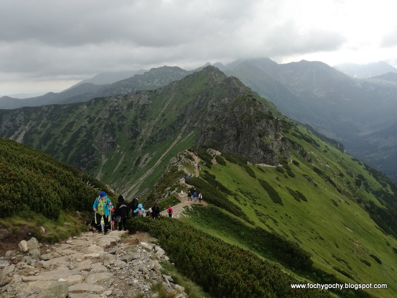 Kulinarne fochy Gochy