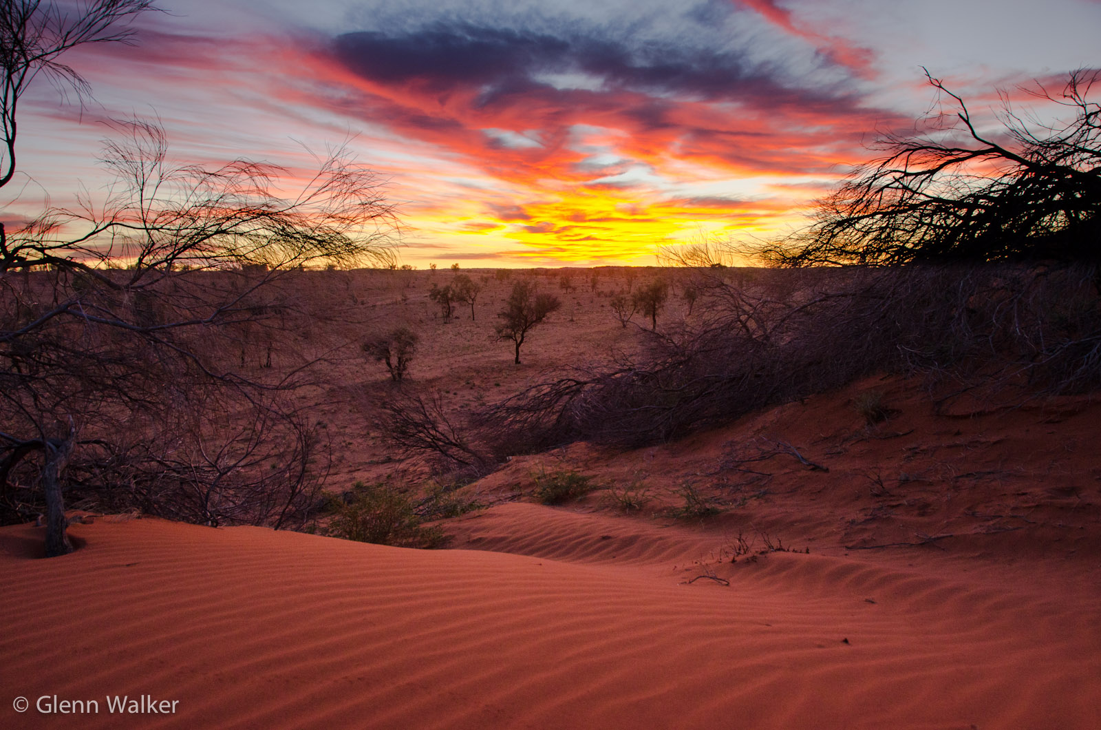 Glenn Walker Photoblog: Channel Country - Australia